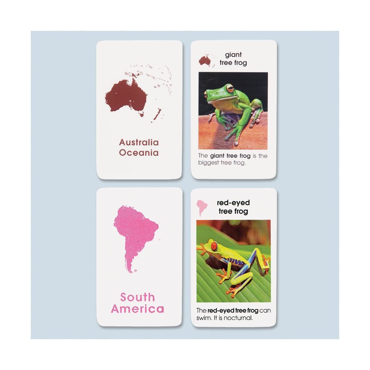 World Amphibians Cards - Montessori Services