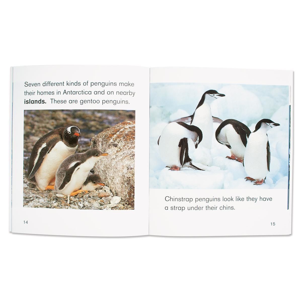 Continent Book Set - Montessori Services