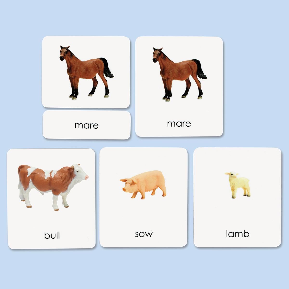 Farm Animal Family Cards - Montessori Services