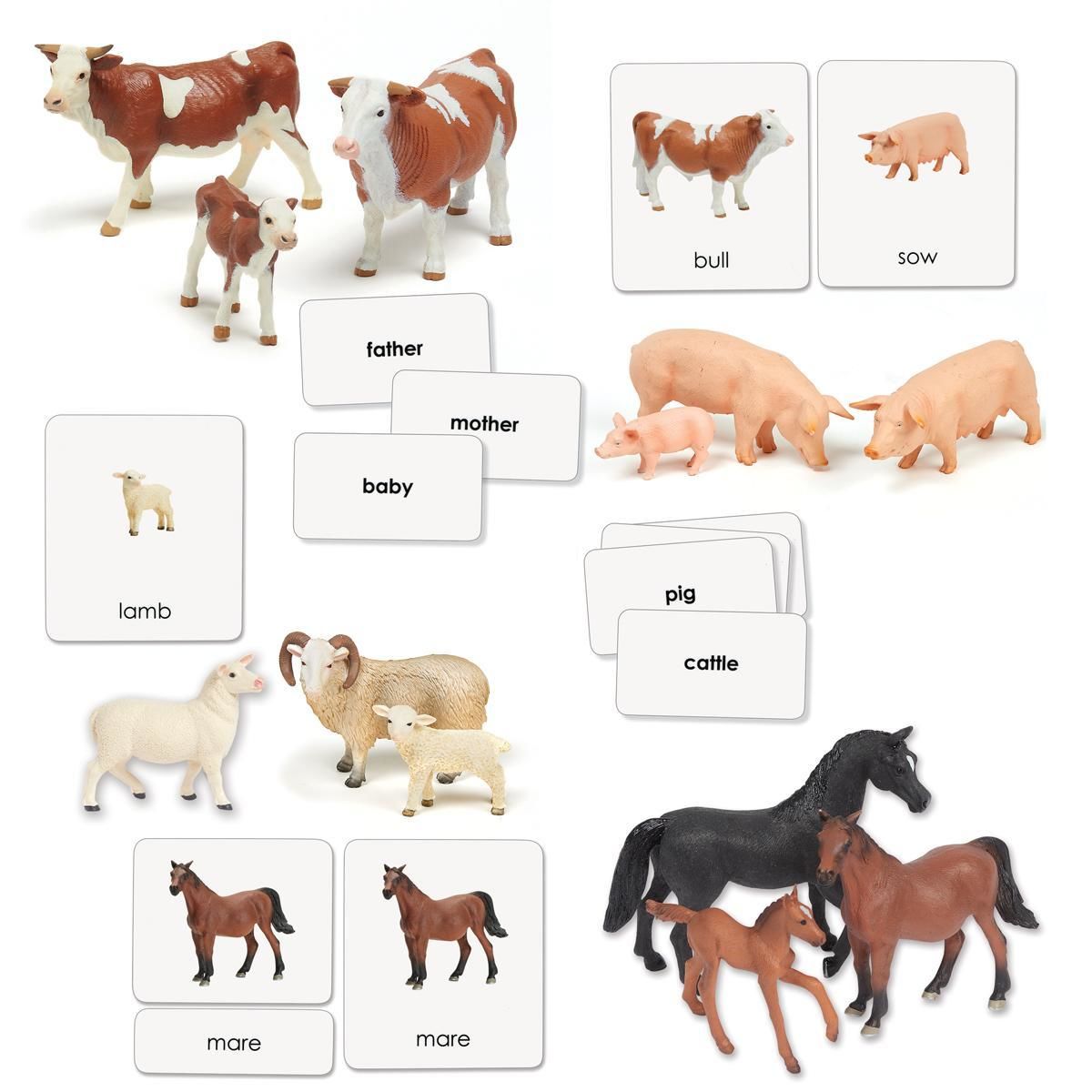 Complete Farm Animal Family Set - Montessori Services