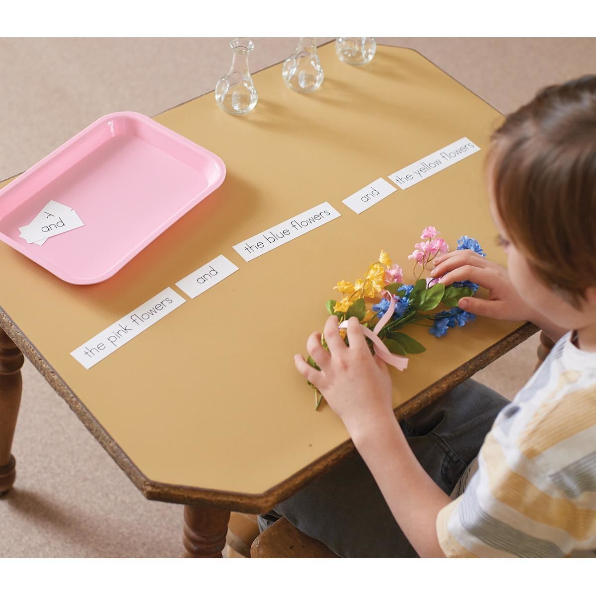 The Conjunction Game - Montessori Services