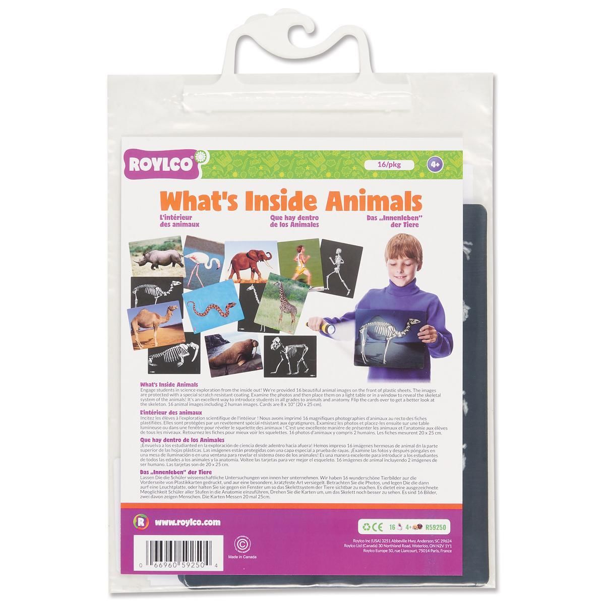 What's Inside Animals - For Small Hands