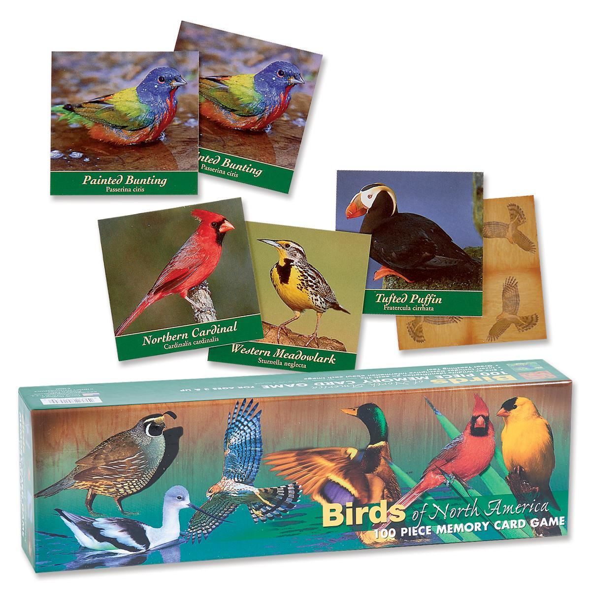 Birds of North America - Montessori Services