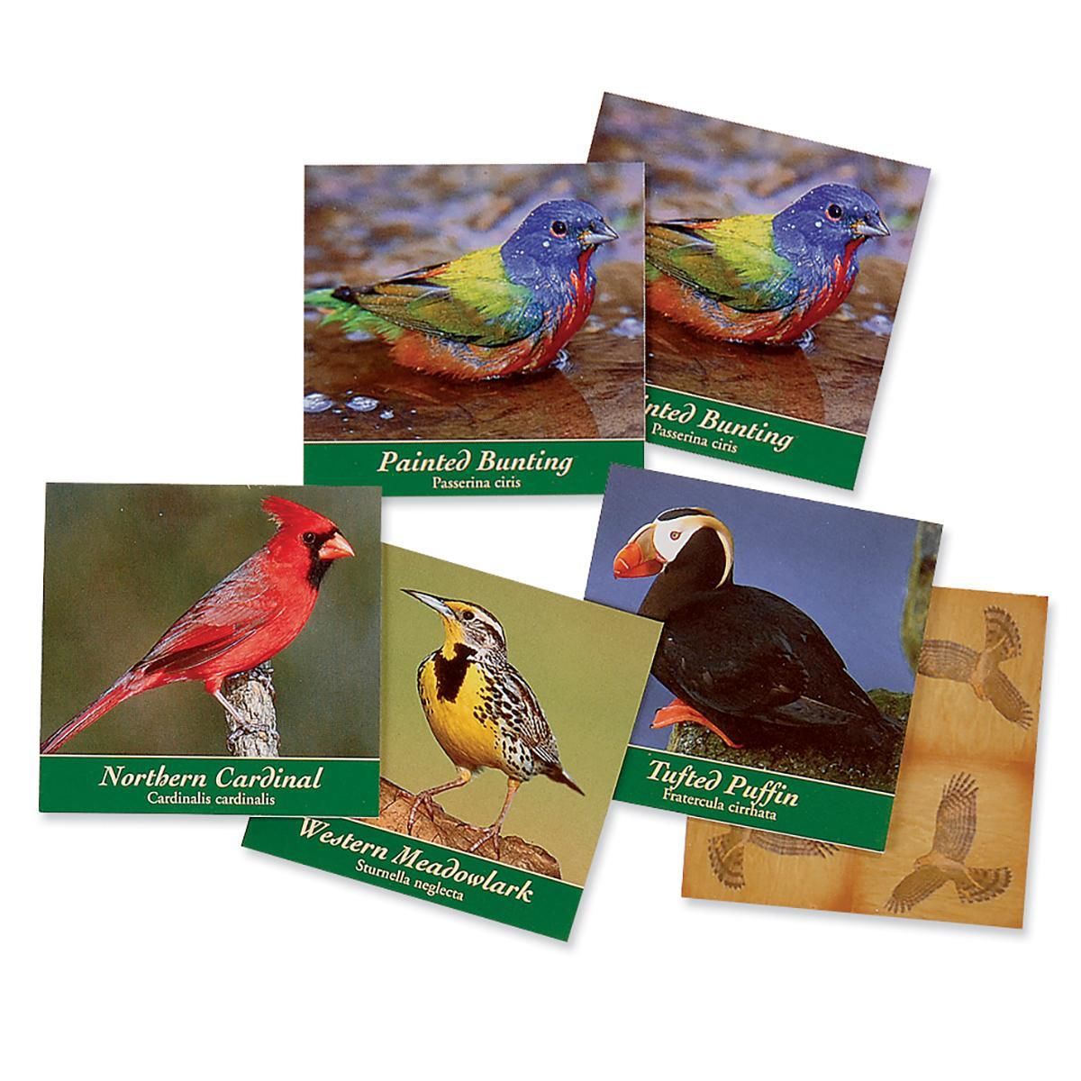 Birds of North America - Montessori Services