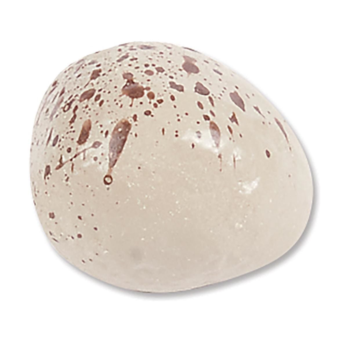 Egg / Rock - Montessori Services