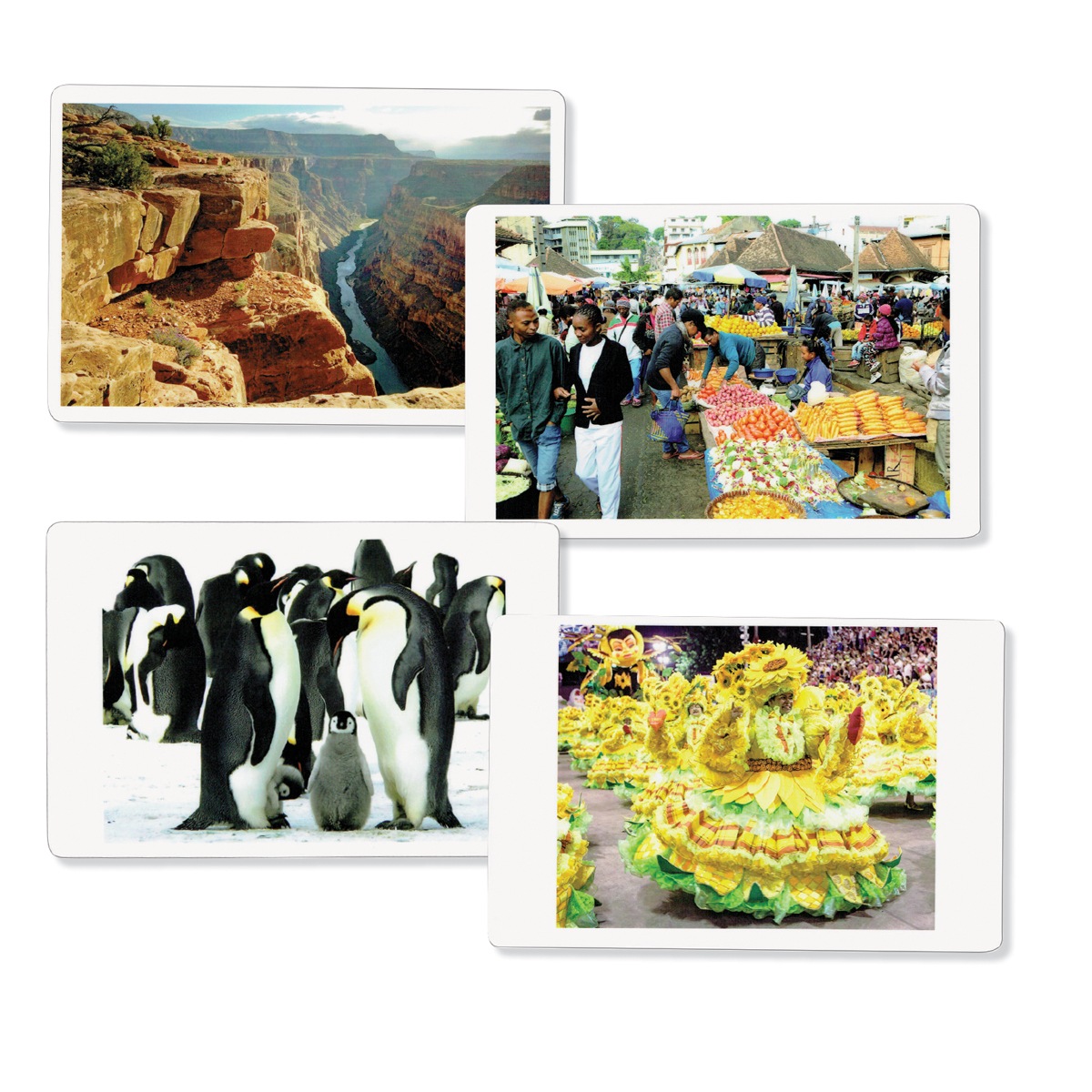 Geography Cards - Set 1 - Montessori Services