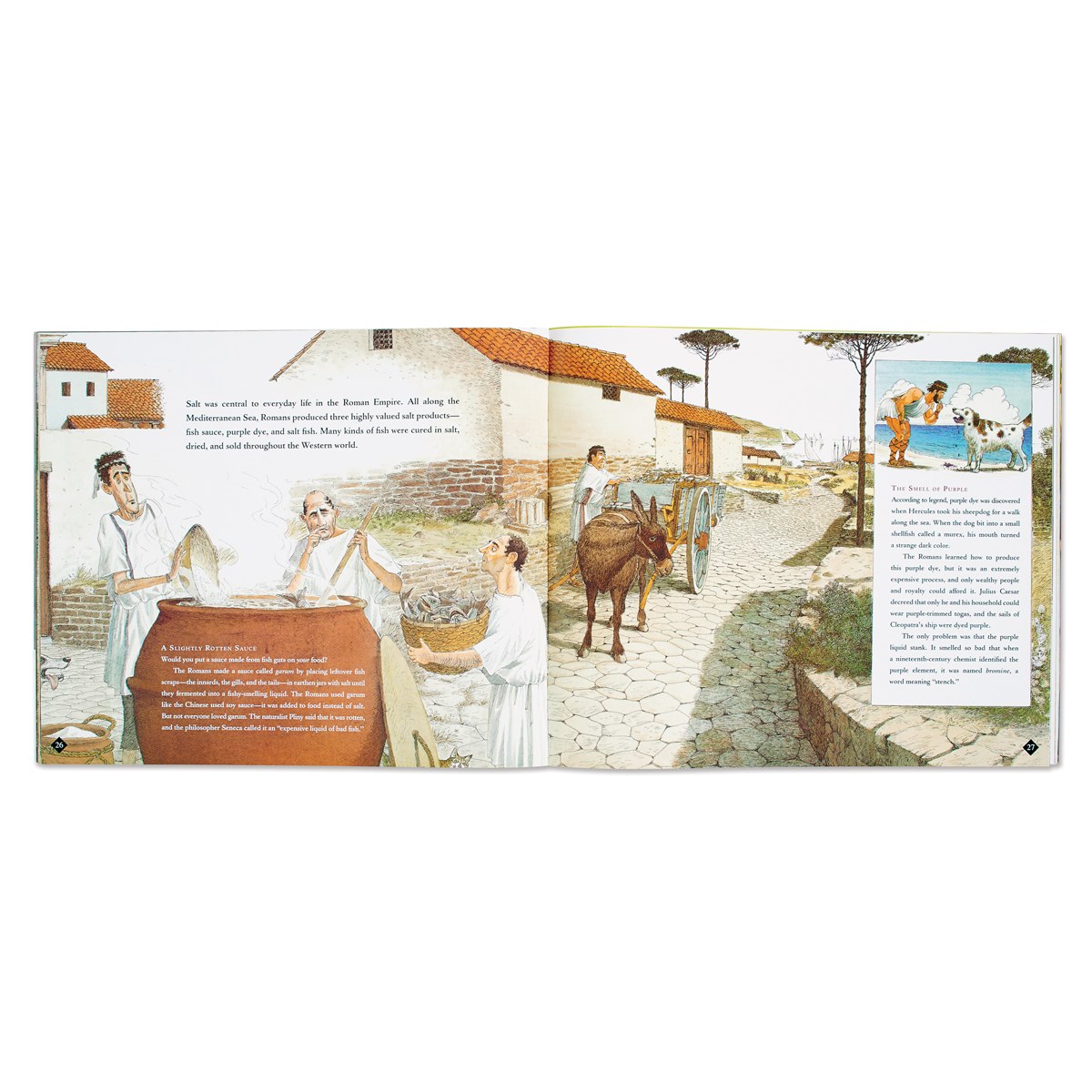 The Story of Salt - For Small Hands