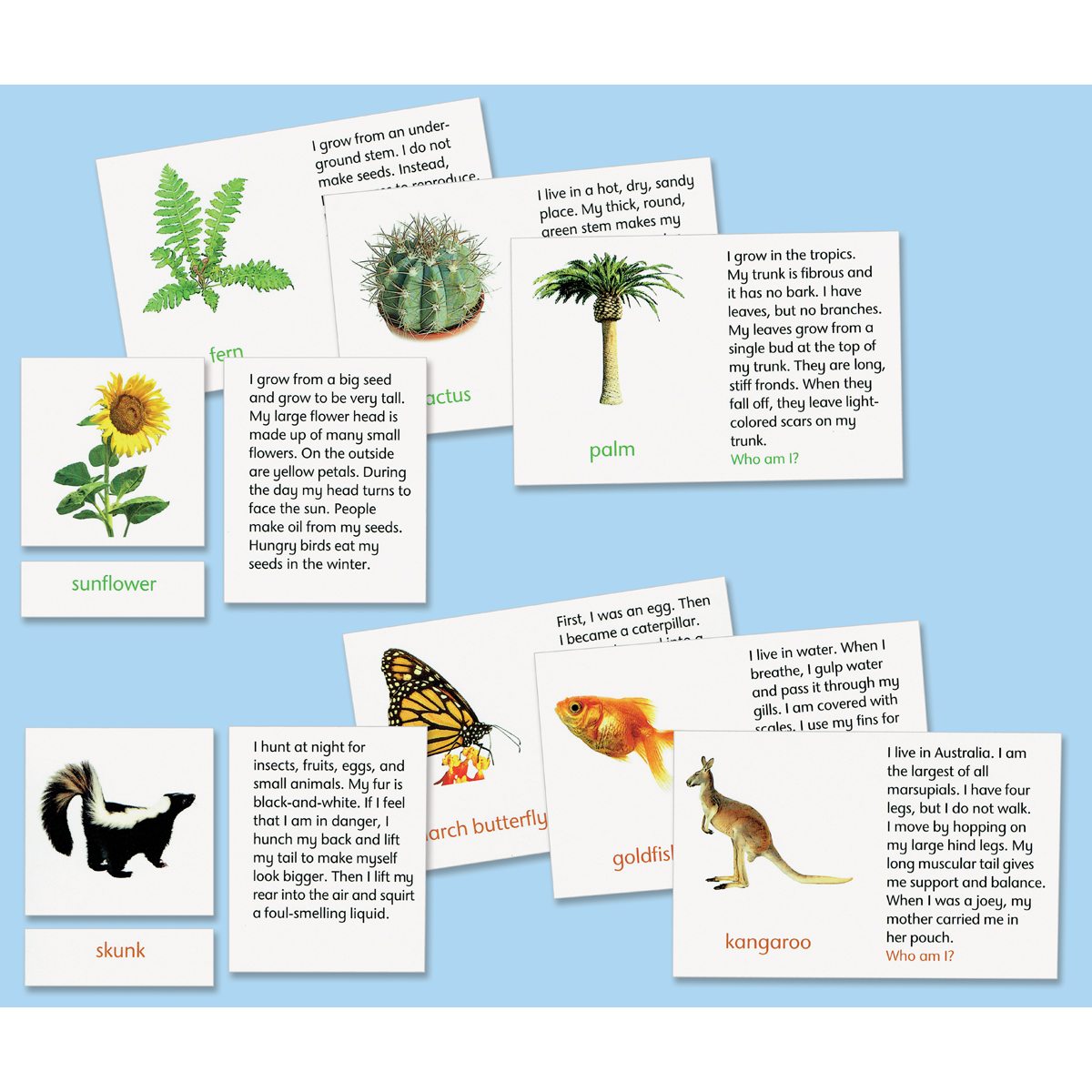 Plants & Animals "Who Am I?" - Montessori Services