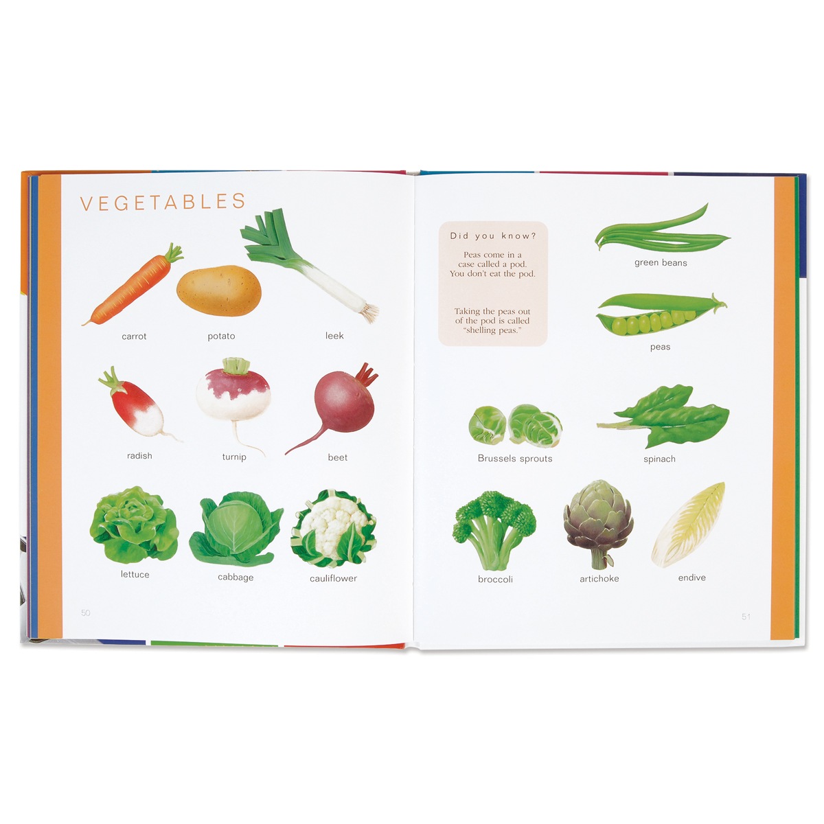 First Picture Dictionary - Montessori Services