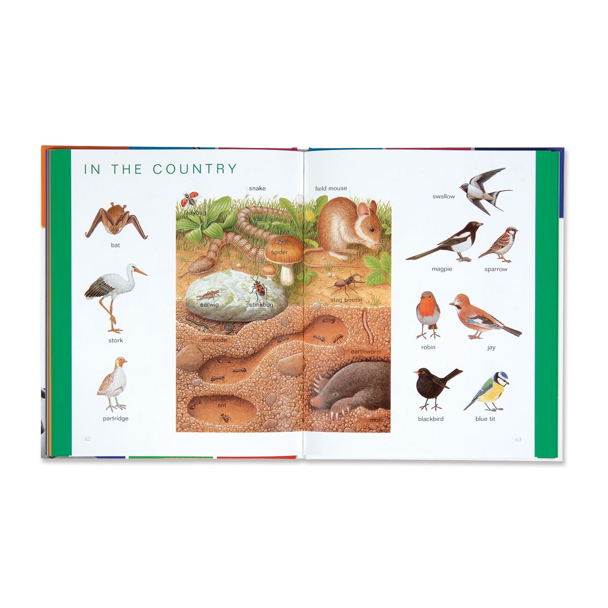 First Picture Dictionary - Montessori Services