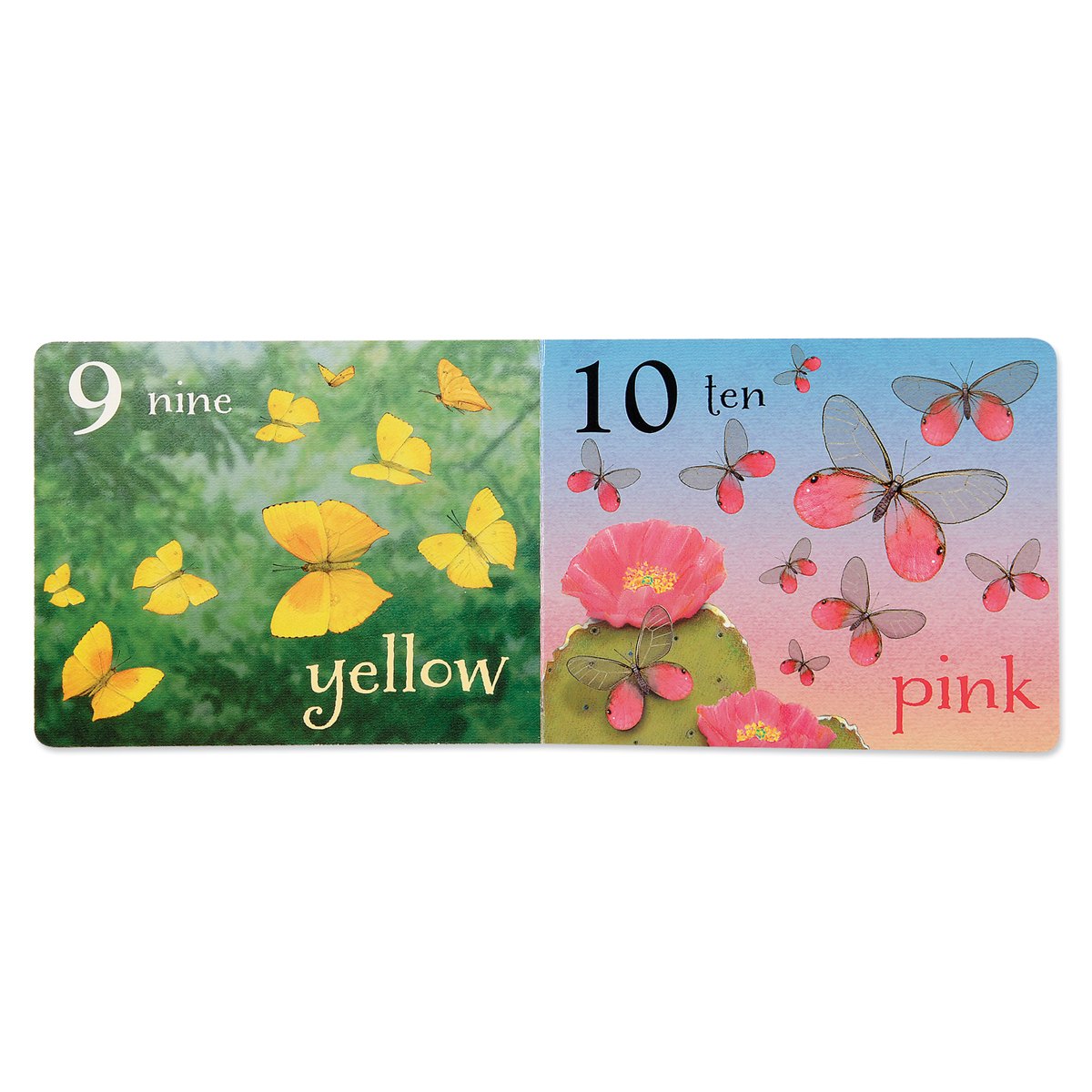 Butterfly - Montessori Services