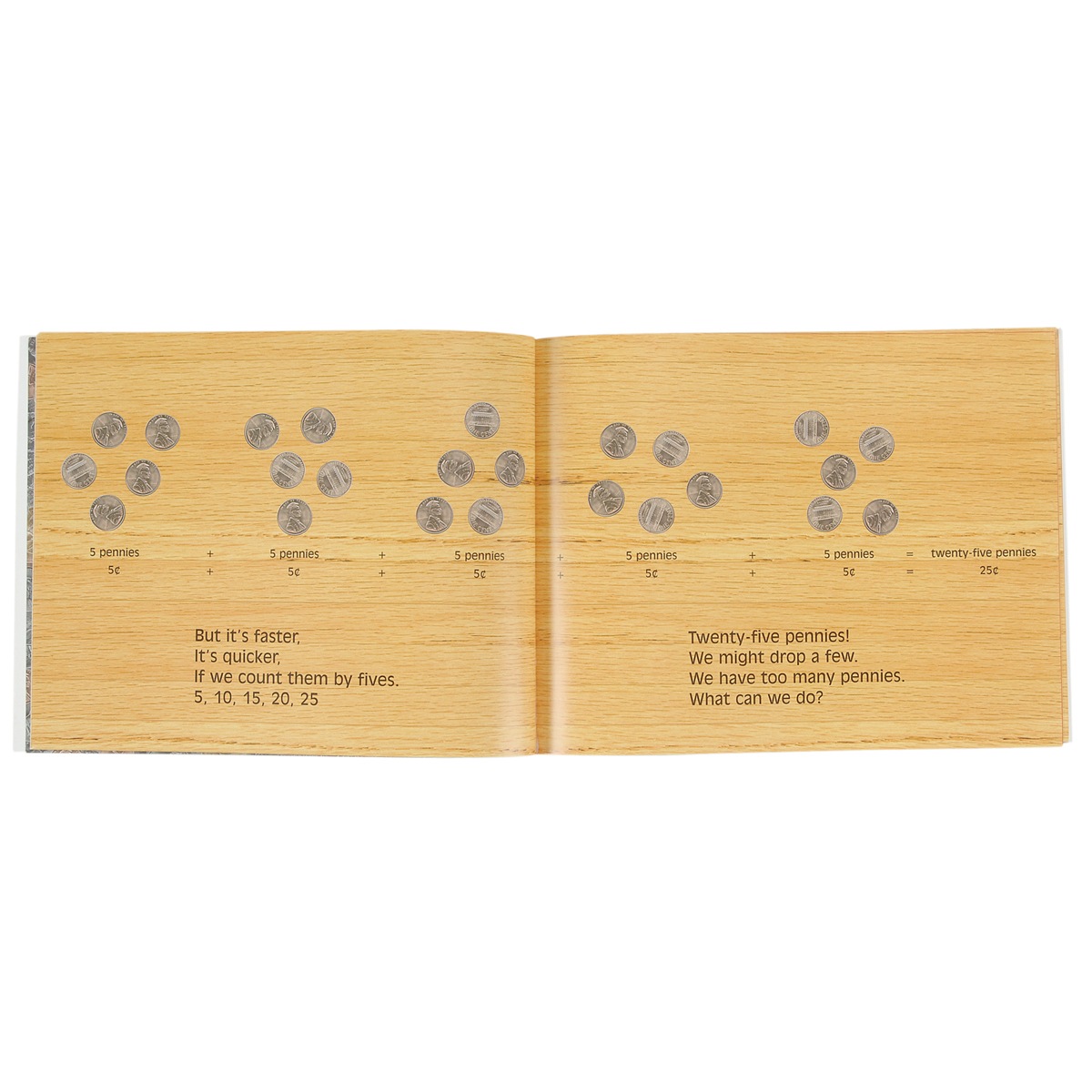 The Coin Counting Book - For Small Hands