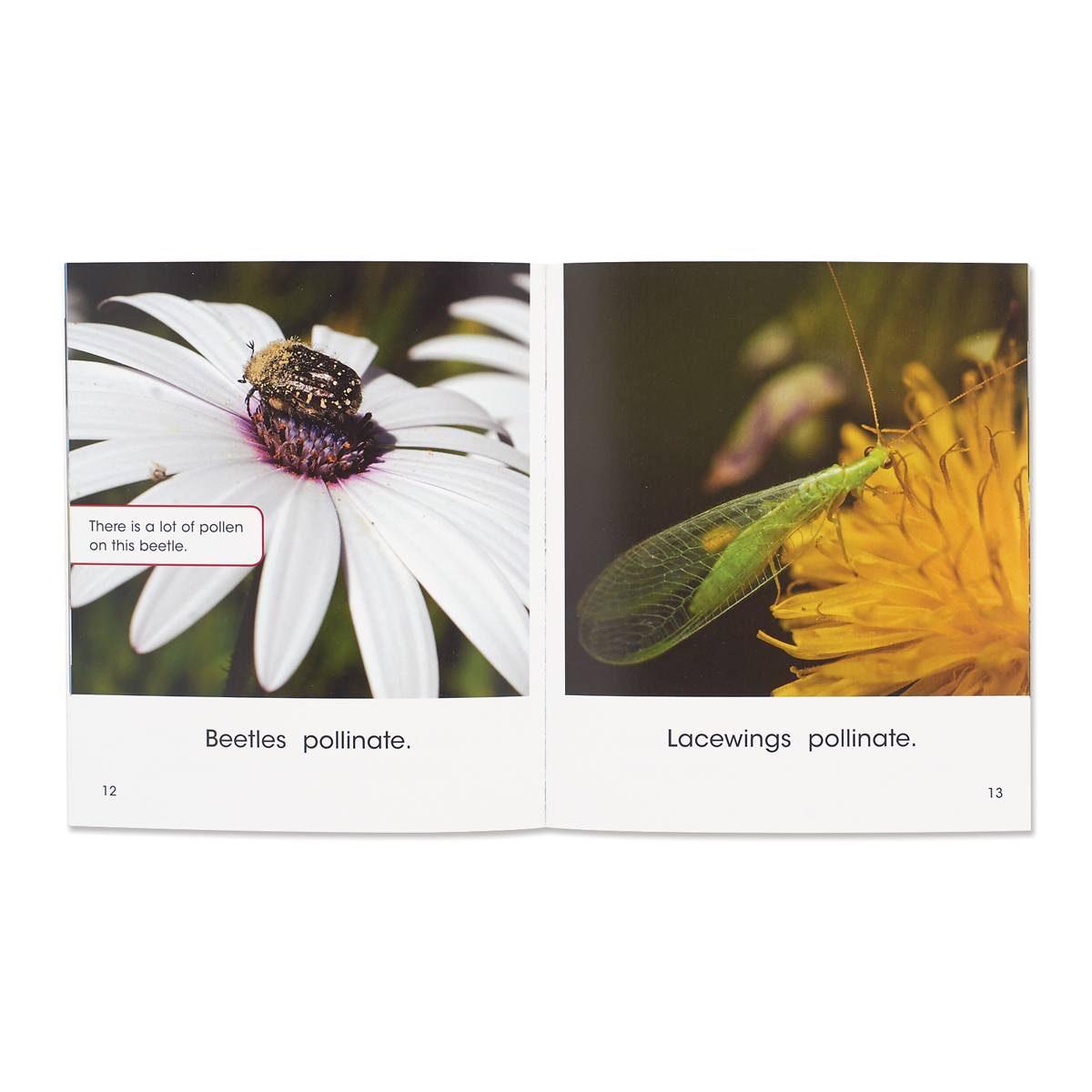 Pollination Set - Montessori Services