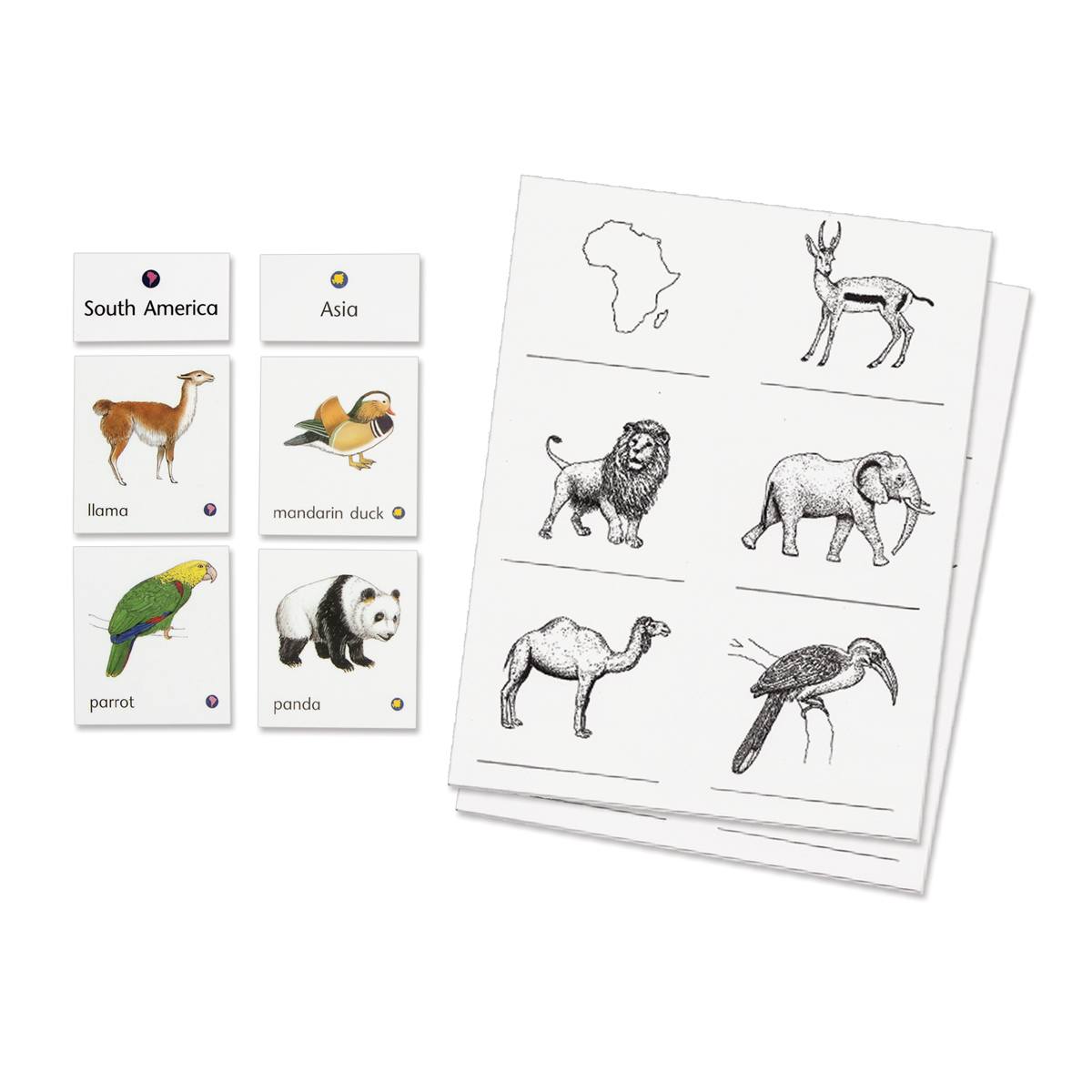 Animals of Seven Continents - Montessori Services