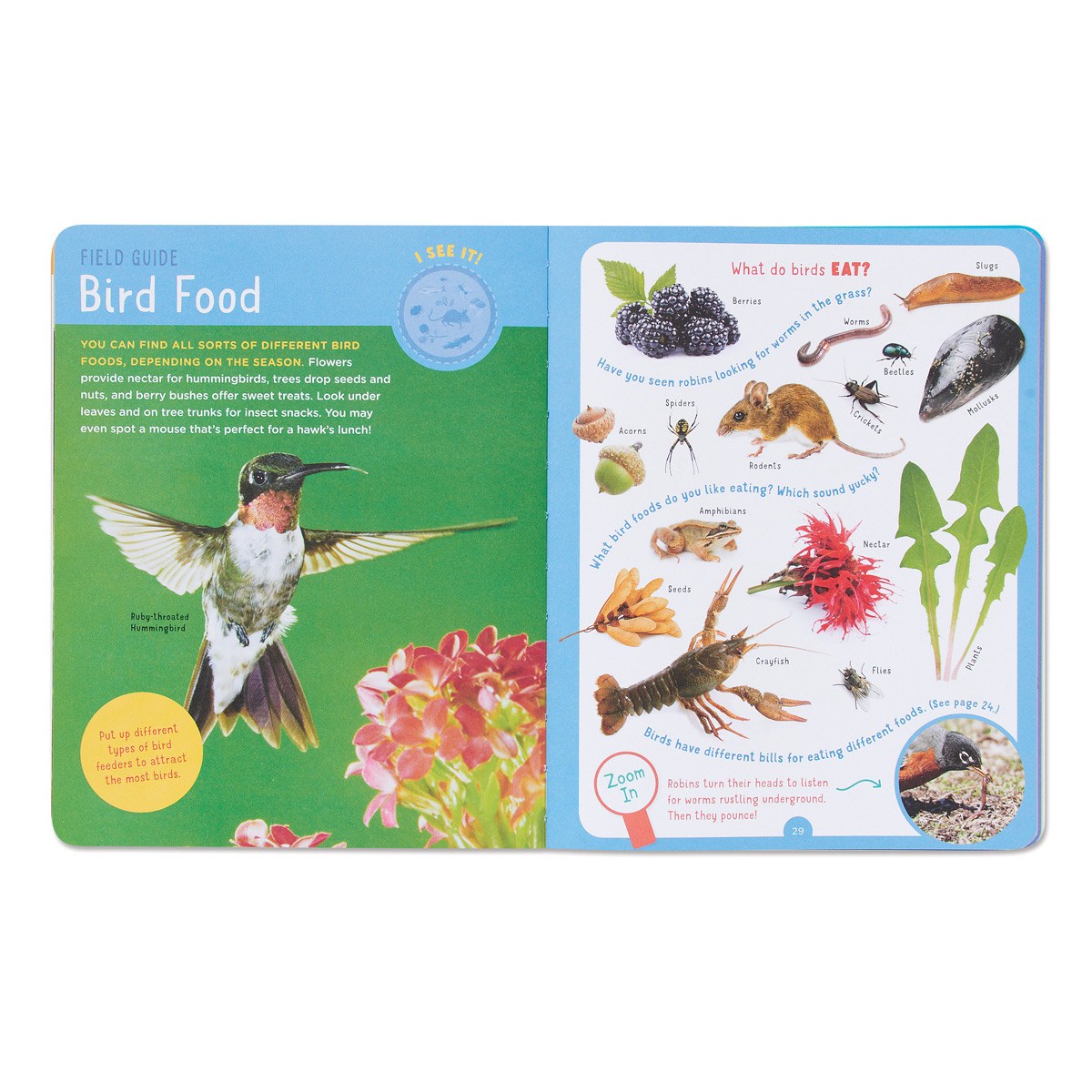 Bird Watch - Montessori Services