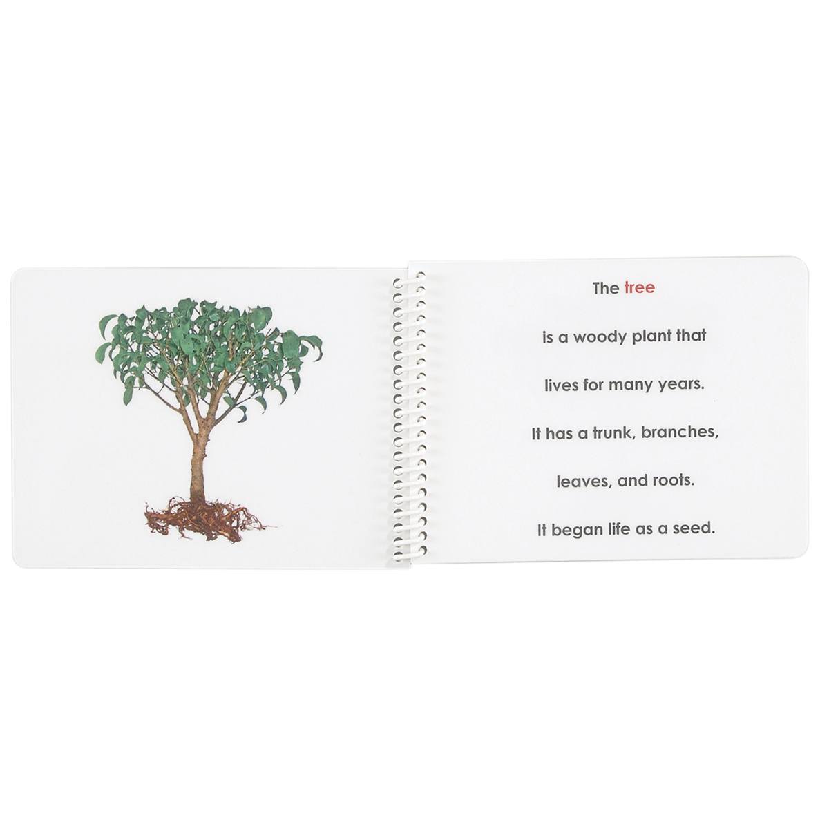 Parts of a Tree Booklet - Montessori Services