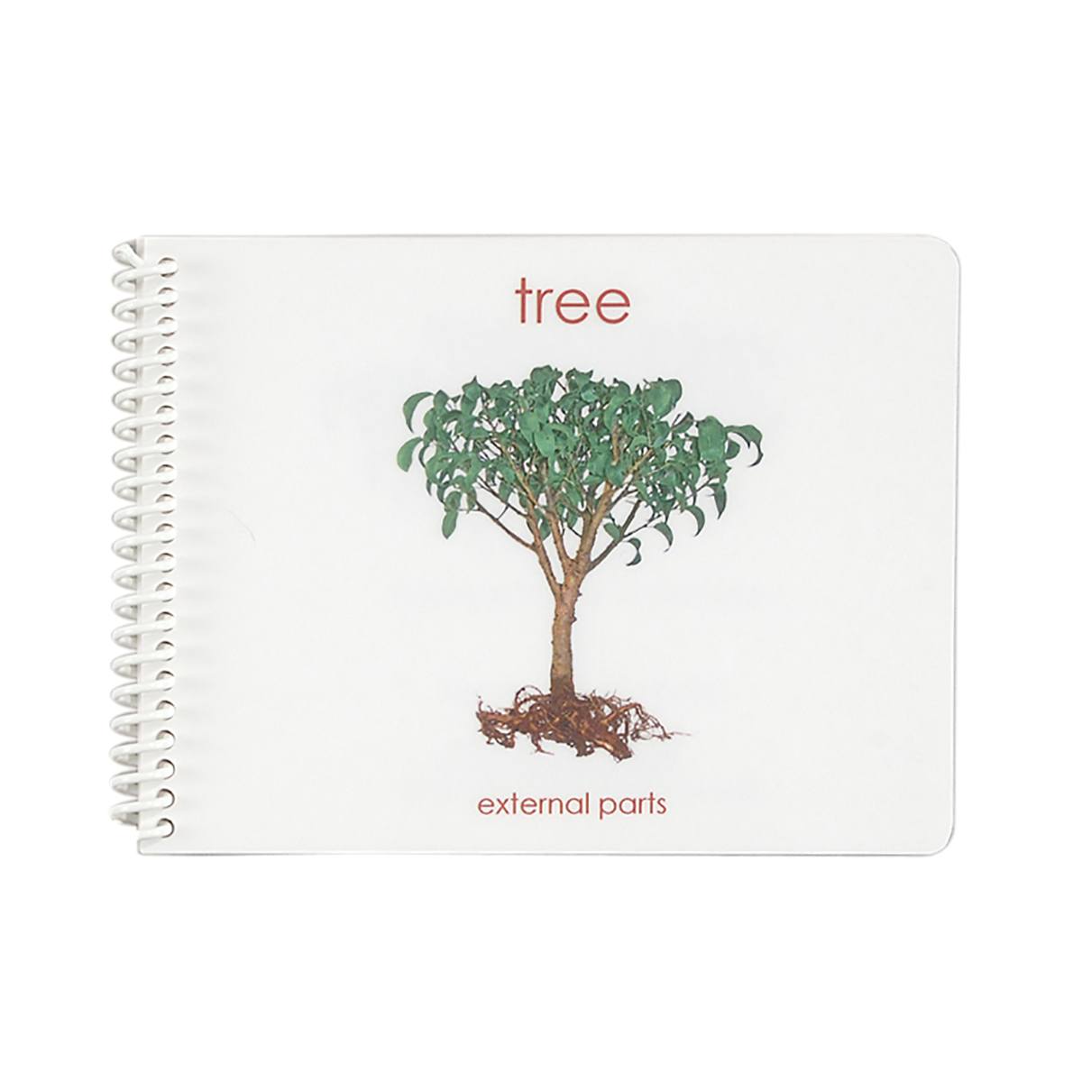 Parts of a Tree Booklet - Montessori Services
