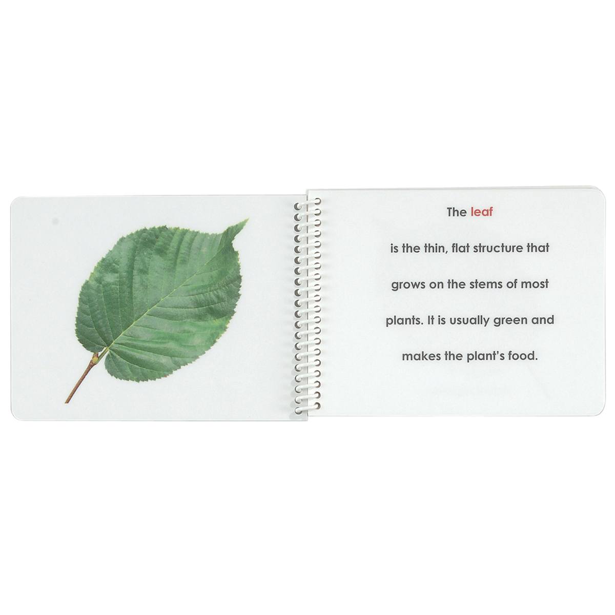 Parts of the Leaf Booklet - Montessori Services