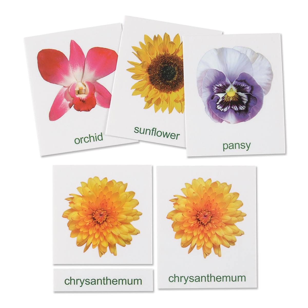 Flowers Cards - Montessori Services