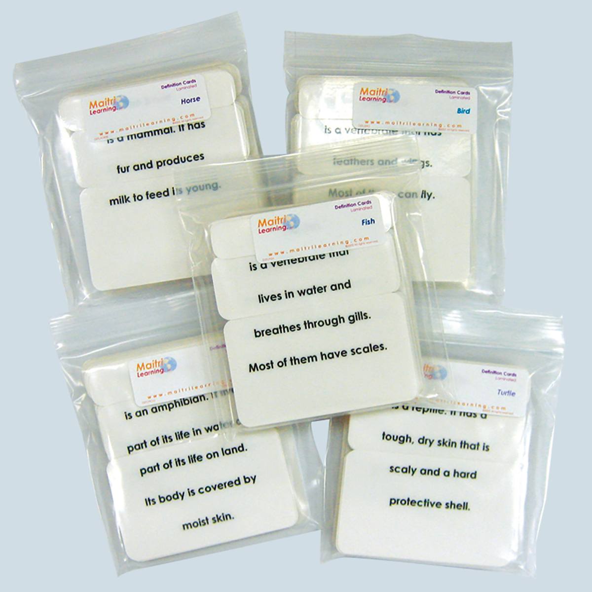 All Five Vertebrates "Parts of..." Definition Cards - Laminated ...