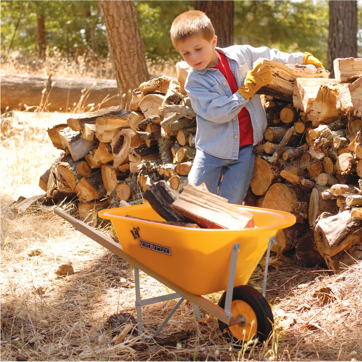 Lil' True Temper Wheelbarrow - For Small Hands