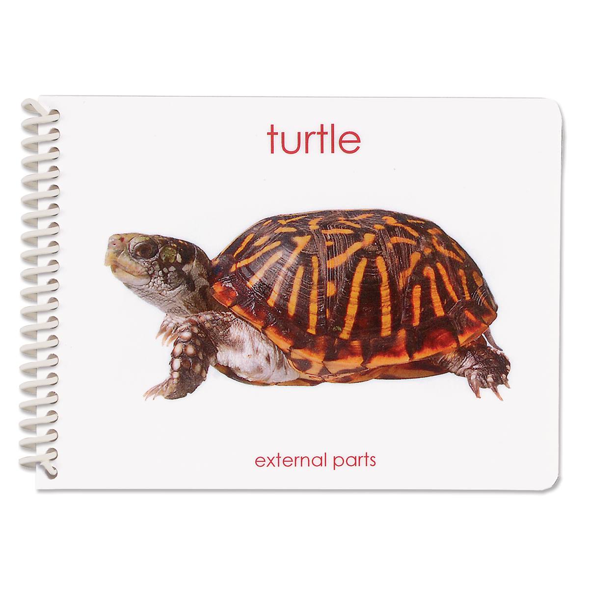 Parts of the Turtle Booklet - Montessori Services