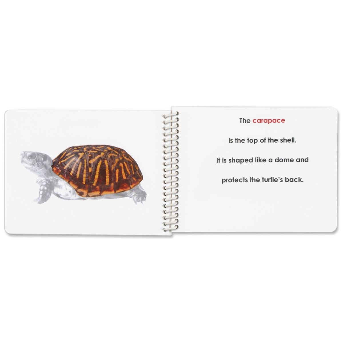 Parts of the Turtle Booklet - Montessori Services