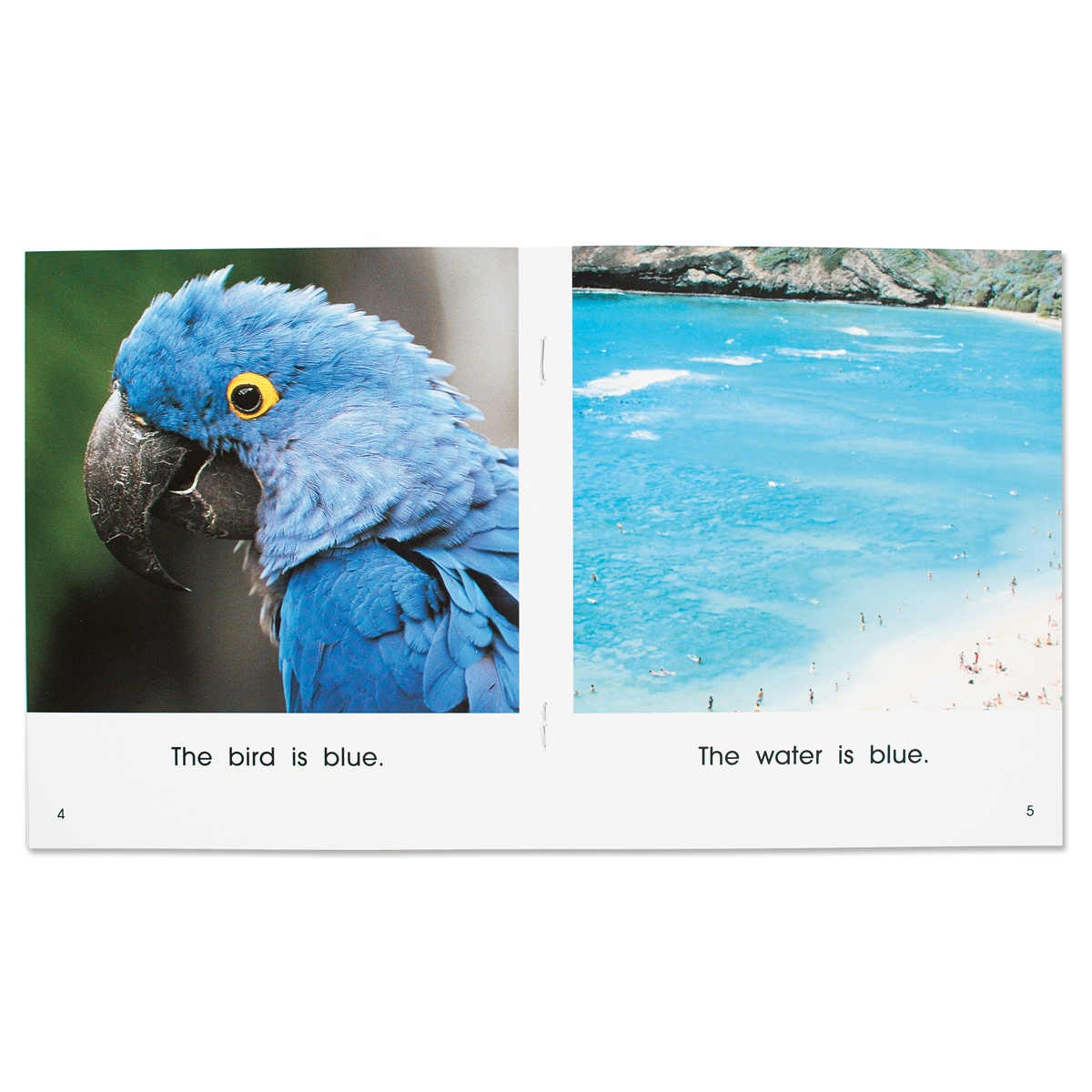 Colors Book Set - Montessori Services