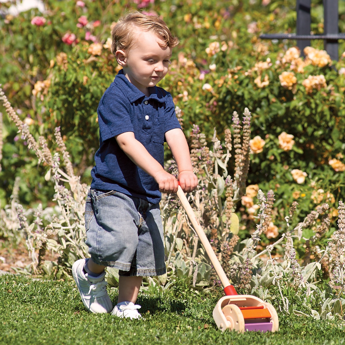 Walk 'n' Roll - Montessori Services